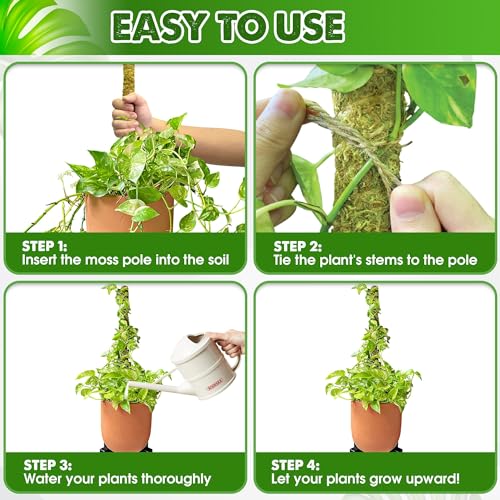 DUSPRO Forest Moss Pole, Small Moss Poles for Climbing Plants Monstera, Non-Bendable Shagnum Moss Stick for Monstera Plant Support Perfect for Small Mini Plant Growth 2 Pcs 17"