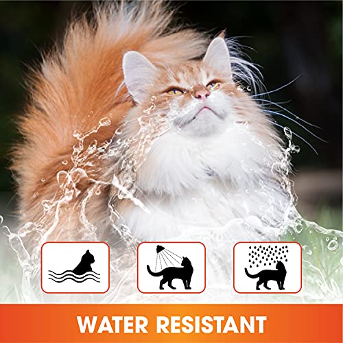 Parenda Cat Flea Collars 13 Inches - Flea Collars for Cats Fit Flea Treatment for Cats Lasting 12 Months - Waterproof Cat Flea Collar - Cat Flea Treatment 100% Natural Ingredients