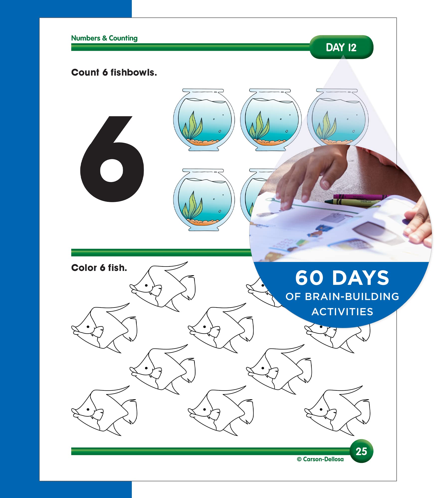 Summer Bridge Activities Preschool to Kindergarten Workbooks, Phonics, Handwriting, Math, Early Learning Summer Learning Activities, Kindergarten Workbooks All Subjects With Flash Cards