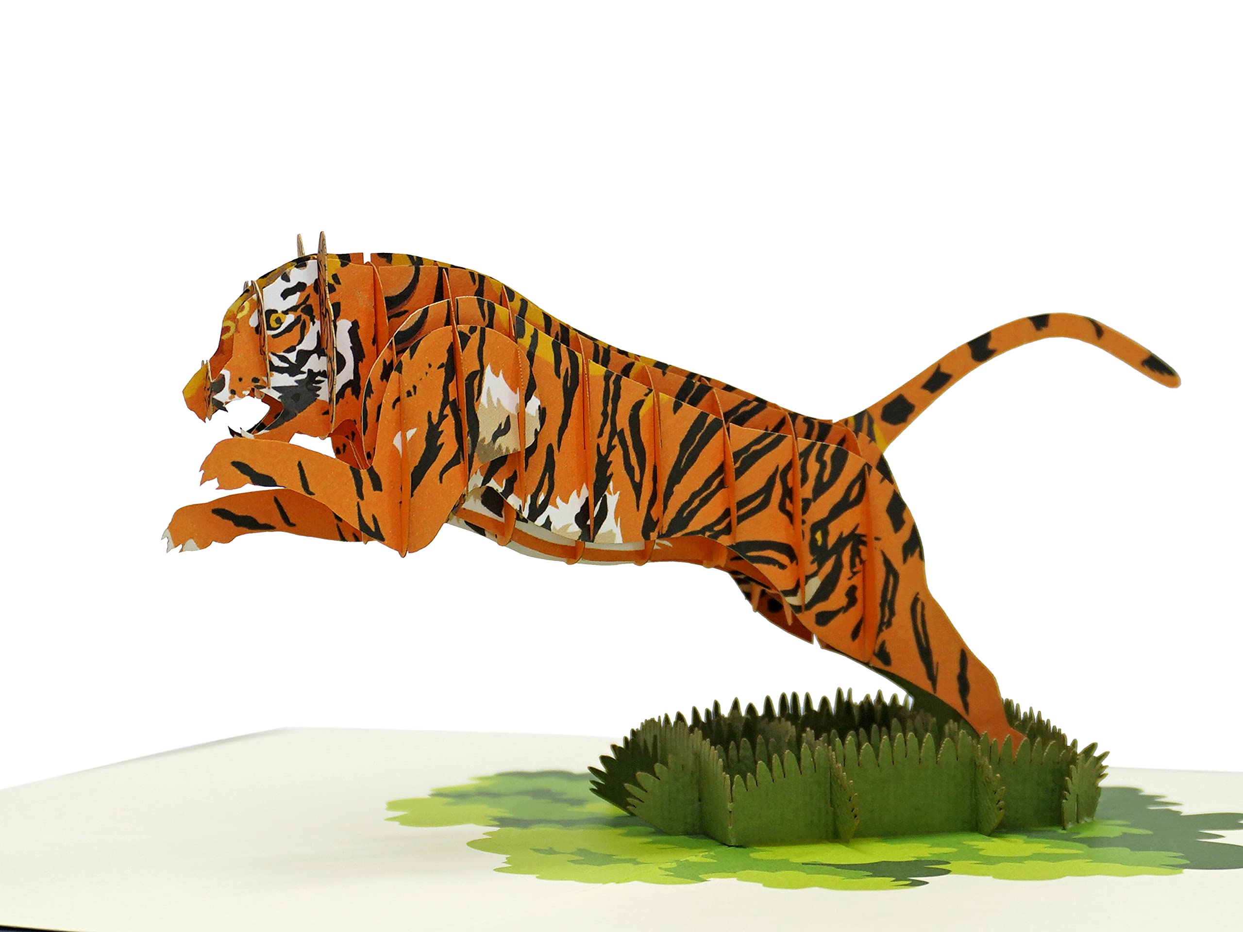 CUTPOPUP Tiger Birthday Card, Pop Up Birthday Card, 3d Greeting Cards Birthday,congratulations Pop Up Card