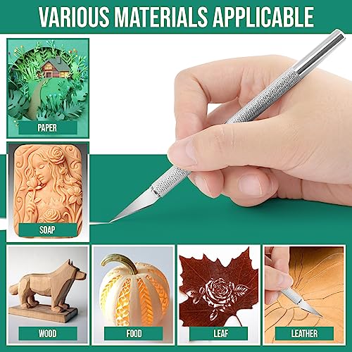 DIYSELF 250 Pcs Exacto Knife, Craft Knife, Hobby Knife, Precision Knife, Exacto Knife for Crafts, Modeling, Scrapbooking, 2 Exacto Knives with Extra 235 Exacto Blades (#11#10#16#17)