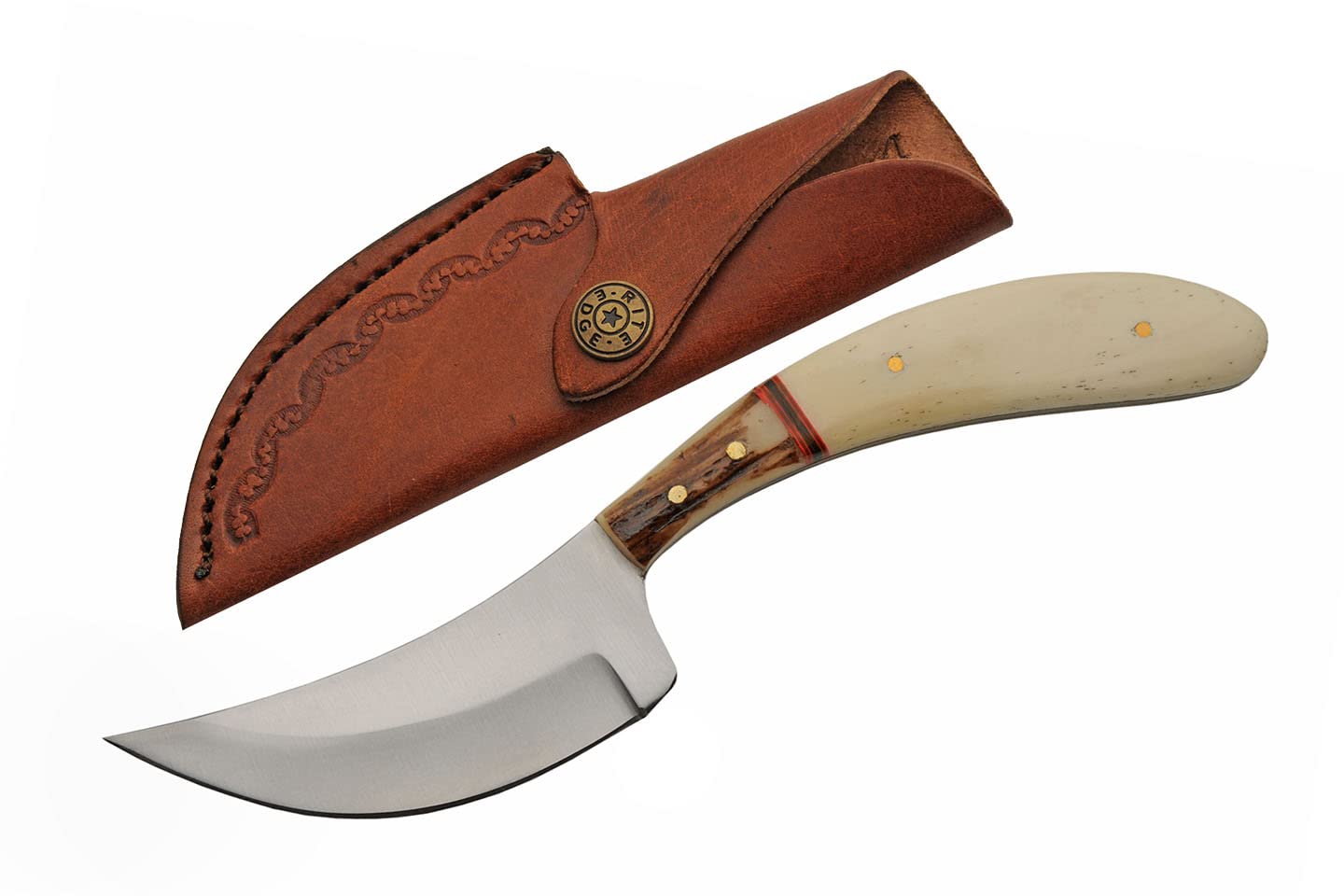 Curved Stainless Steel Blade Bone/Stag 8 inch Hunting Knife