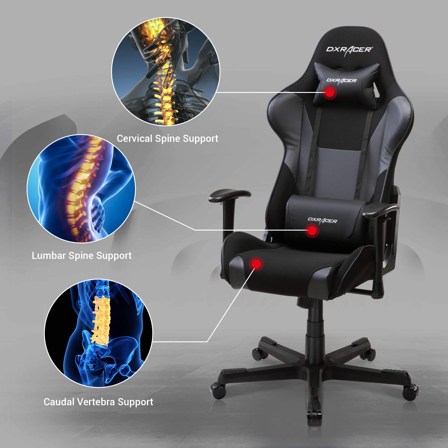 DXRacer Formula Series PC Gaming Chairs Seat Height Adjustable Recliner with Ergonomic Head Pillow and Lumbar Support, Standard, Black