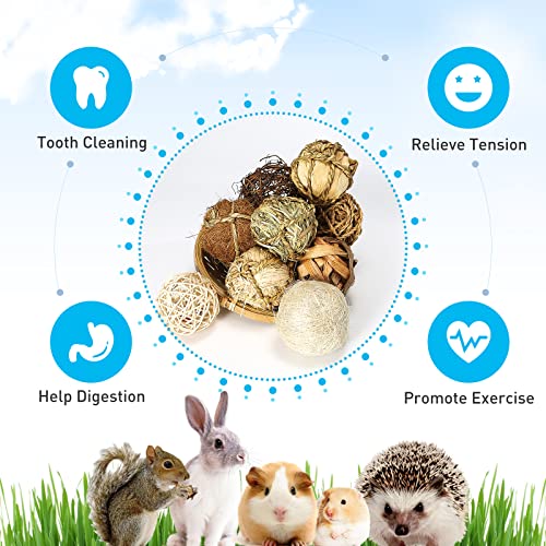 DAMPET Small Animals Play Balls, Chew Grass Balls & Rolling Chew Toys for Bunny, Improve Pets Dental Health for Rabbit, Chinchilla, Guinea Pigs, Hamsters, Gerbils, Rats, Mice (9 Pieces)