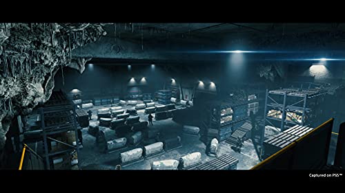 Death Stranding Director's Cut (PS5)