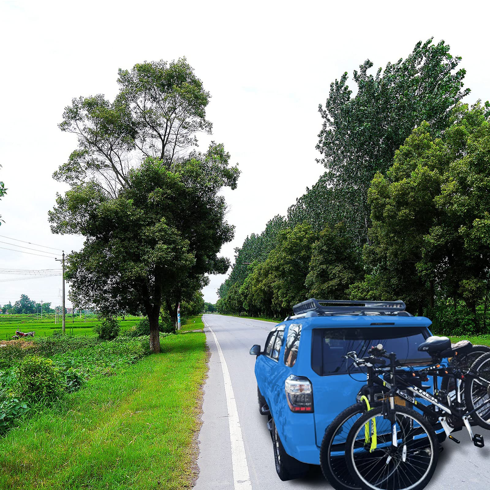 EDOSTORY Platform Hitch Mount Bike Rack,Foldable 2 Bicycle Rack fit for Cars, Trucks, SUV and Sedan with 1.25" and 2" Hitch Receiver-Hitch Stabilizer
