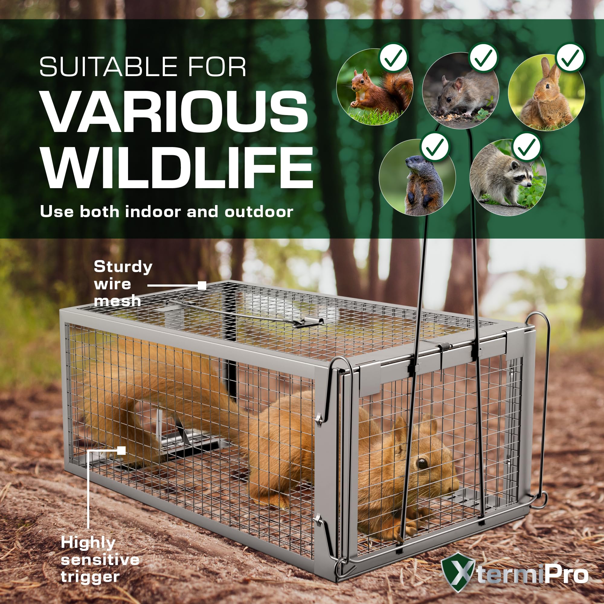 Humane Squirell Trap, Chipmunk and Rat Trap Cages That Works, Humane Mouse Trap for Home | Catch and Release | Reusable and Durable | No Kill Animal Trap | for Inside Home and Outdoor Use