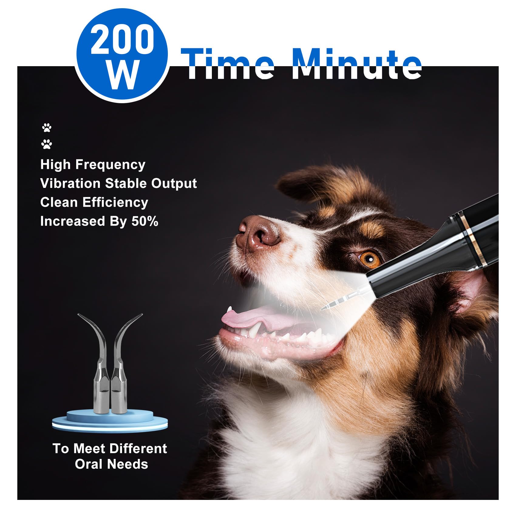 IFHFBI 5 Modes Plaque Remover for Teeth,Dog Teeth Cleaning Kit,Dog Teeth Cleaning, Dental Tools to Remove Tartar and Stains, Safe for Dogs & Cats, with Led Light & 5 Adjustable Modes (Black)