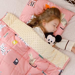 Sivio Weighted Blanket,Cotton and Minky Fleece Throw Blanket with Beads, Reversible Heavy Blanket, 3lbs 36x48 Inch, Pink Cat