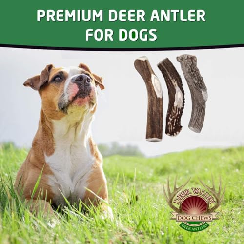Deer Valley Dog Chews (Giant Single, 8-10 Inches) Sustainably-Sourced Deer Antler for Extra Large Dog Breeds - Durable Dog Chew Bone for Aggressive Chewers
