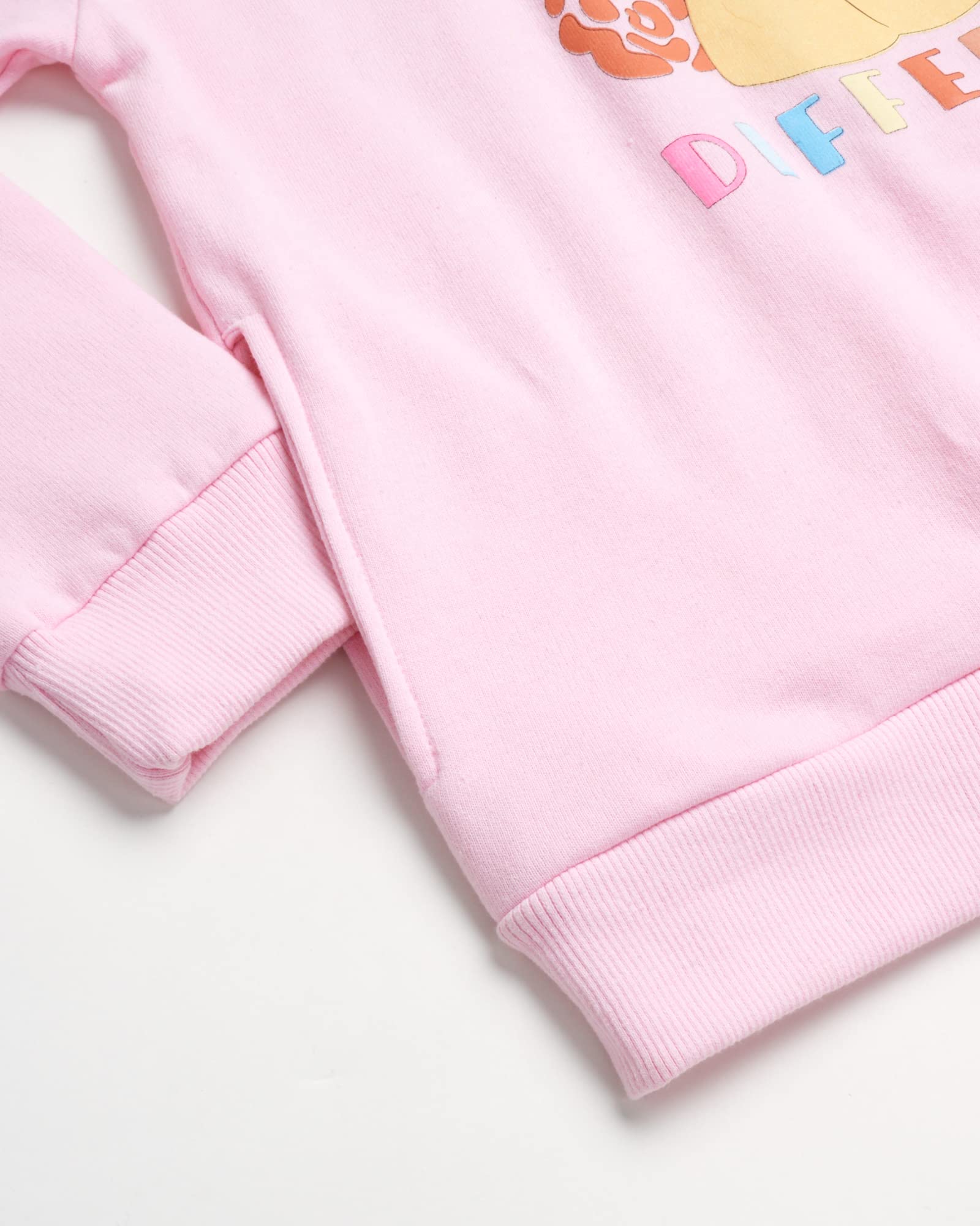 Disney Girls' Princess Sweatshirt β Frozen Elsa Anna, Cinderella, Belle, Moana Pullover Hoodie (2T-7), Size 4T, Belle Pink