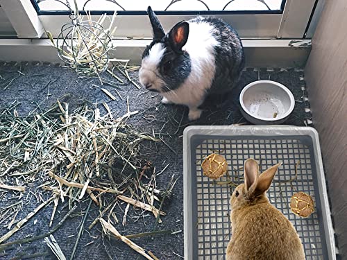 Vehomy Rabbit Guinea Pig Litter Box Small Pet Litter Pan Toilet Potty for Bunny Ferret Hamster Rabbit Toilet with 10pcs Disposable Pet Litter Tray Bags 3pcs Rabbit Coir Chewing Toys and a Brush