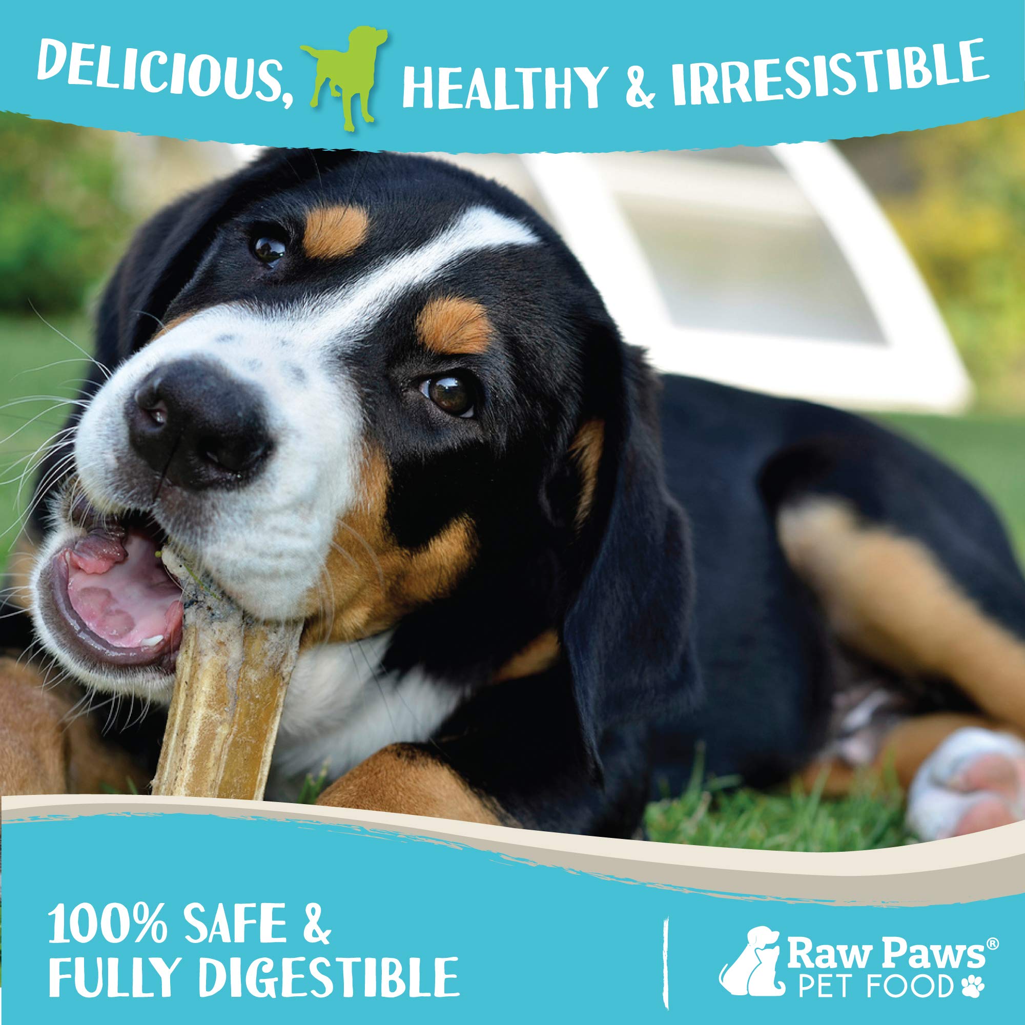 Raw Paws Compressed Rawhide Dog Chew Variety Pack, 10 Pack - 5" Compressed Rawhide Sticks & 4" Bones, Aggressive Chewers Pressed Rawhide Chews Dog Treat Value Pack, Small Dog Deluxe Variety Dog Chews