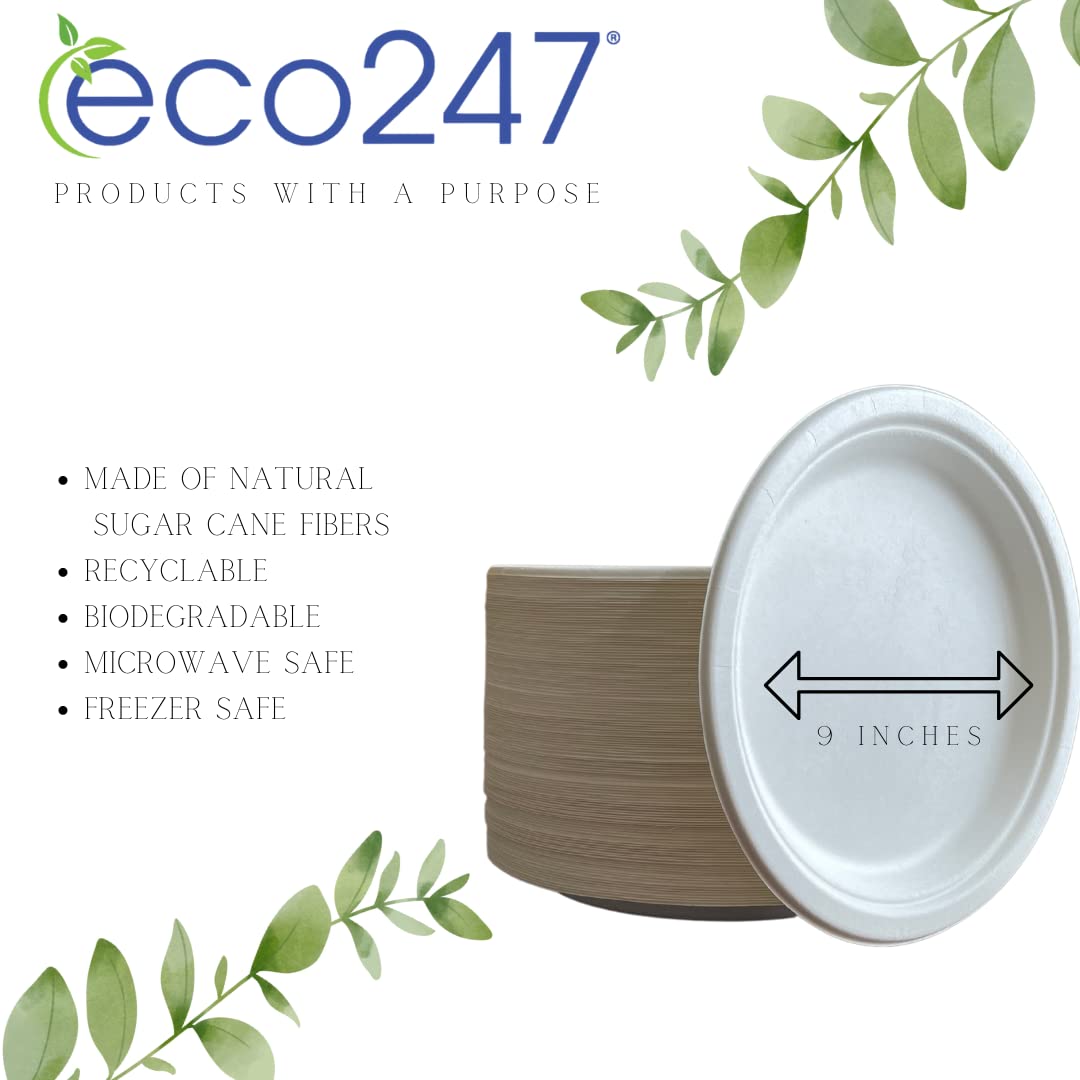 eco247 100% Compostable 3-Compartment Round Plates [10" - 125 Count] Heavy Duty Bulk Disposable Plates | Eco-Friendly White Recyclable Plates | Biodegradable Natural 100% Sugar Cane Bagasse