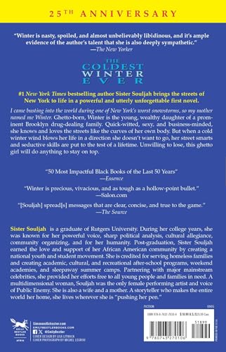 The Coldest Winter Ever: A Novel (1) (The Winter Santiaga Series)