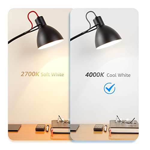 Lumiverse E26 led Bulb 60 watt dimmable Vintage LED Edison Bulbs 5.5W, 60W Equivalent,4000K Cool White, Antique Style ST19/ST58 LED Light Filament Bulbs, CRI 90+, E26 Base, 6 Packs