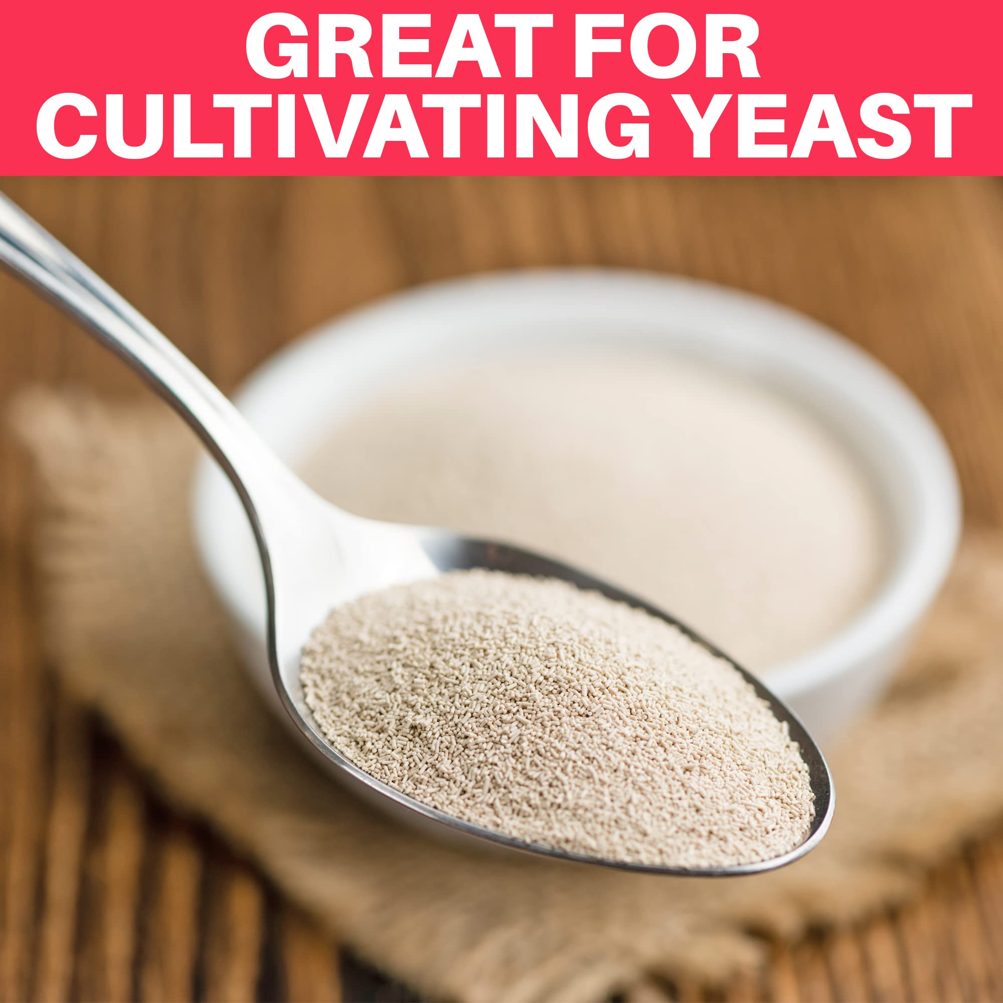 Yeast Peptone Dextrose (YPD) Agar Plates - Evviva Sciences - Great for Yeast Cultivation - 10 Prepoured YPD Petri Dishes - Great for Science Projects