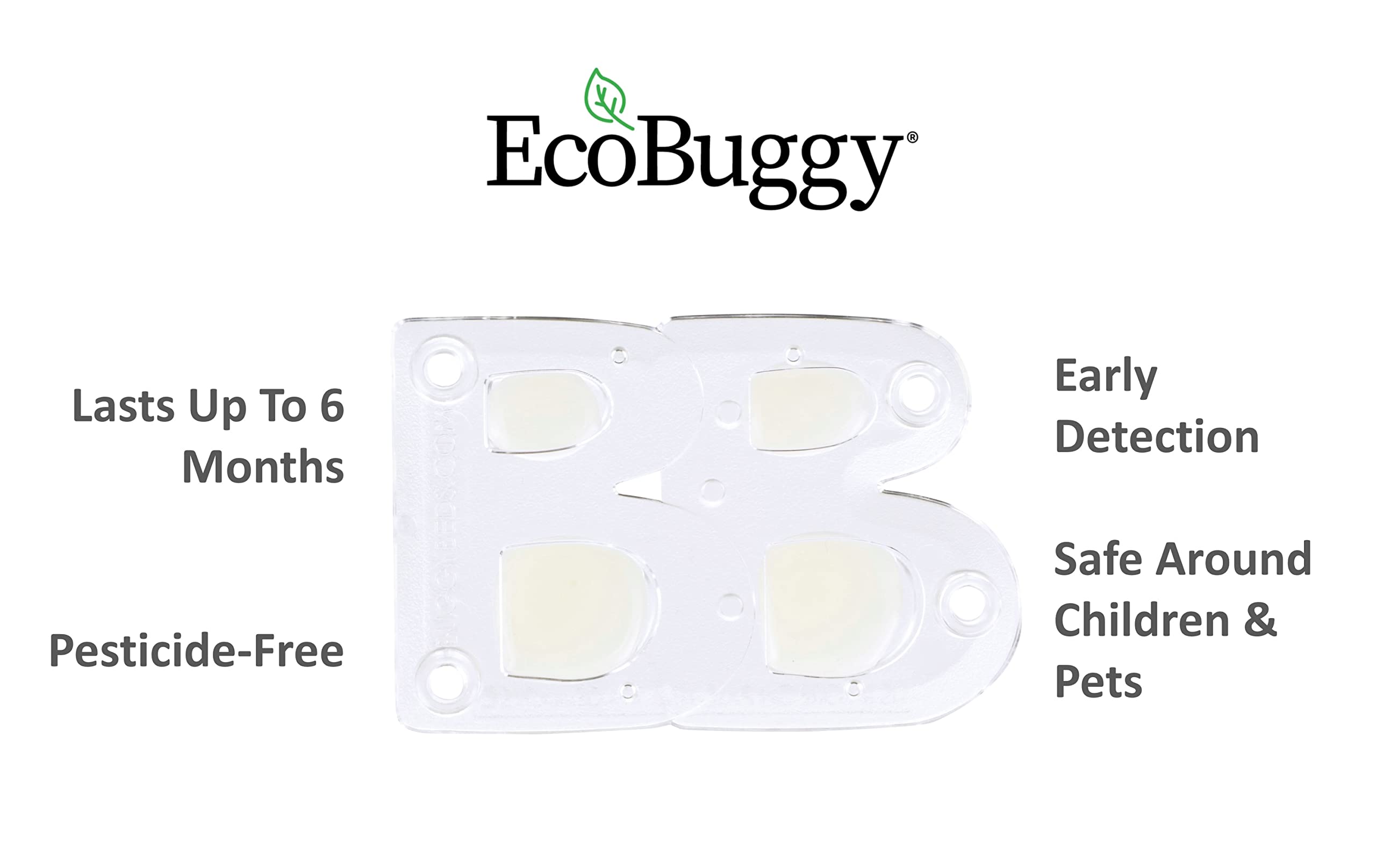 EcoBuggy Bed Bug Glue Trap, Glue Traps for Home & Travel Detect Bugs Before Infestation, Pack of 4