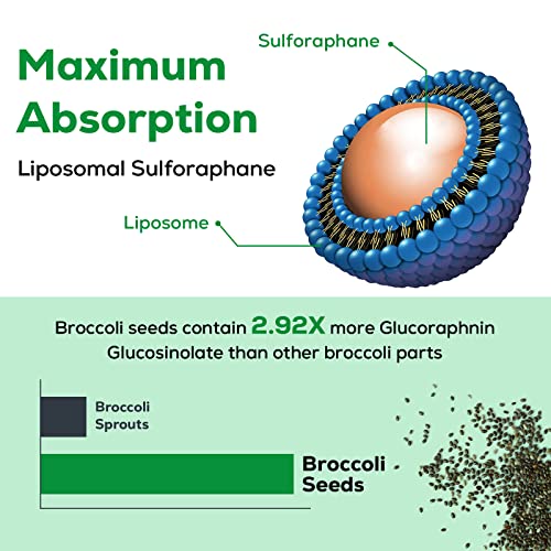 Osasuna Liposomal Sulforaphane 450MG, Maximum Absorption, Glucoraphanin with Myrosinase, Antioxidant Supplement from Broccoli Seed Extract, 120 Softgels