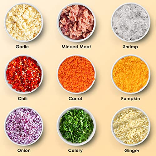 Electric Garlic Chopper, Portable Cordless Mini Food Processor, Rechargeable Vegetable Chopper Blender for Nuts Chili Onion Minced Meat Baby Food and Spices(White)