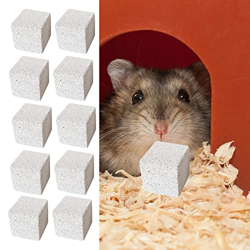 MagiDeal 10Pcs Stone Square Hamster Teeth Grinding Pet Teeth Supplies Chewing Toy, Rodent Stone Pet Chew Toy for Chinchillas, Gerbil, Rat, Pets, 3cm