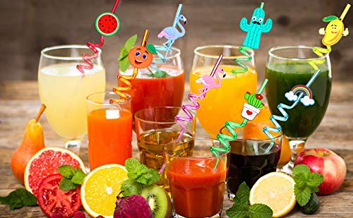 FZR Legend 24 Flamingo Fruit Cactus Reusable Plastic Straws,Hawaiian Beach Cocktail Luau Party Decorations Supplies Favors (24 SET)