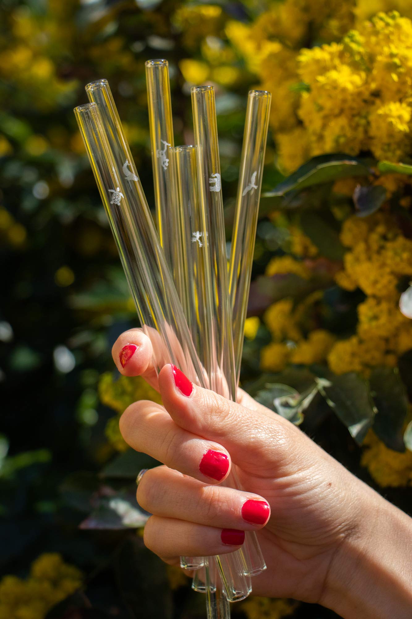 HALM Glass Straws - Earth Day Charity Edition - 6 Reusable Drinking Straws engraved with Endangered Animals - 20 cm (8 in) x 0.9 cm - Made in Germany - Dishwasher Safe - Eco-Friendly