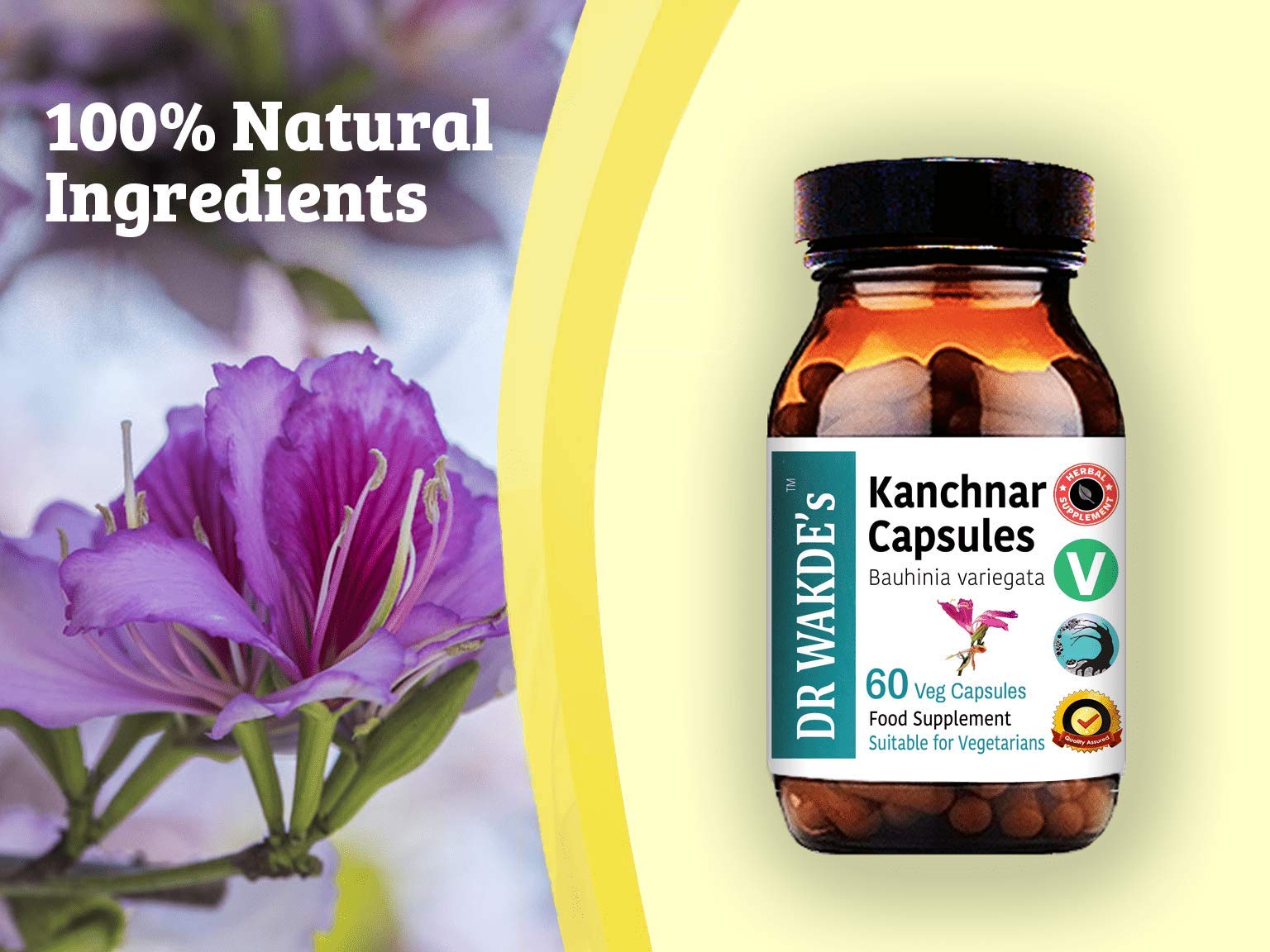 DR WAKDE'S Kanchnar Capsules (Bauhinia variegata) | 60 Veg Caps | Ayurvedic Supplement | Vegan | 100% Herbal | Quantity Discounts