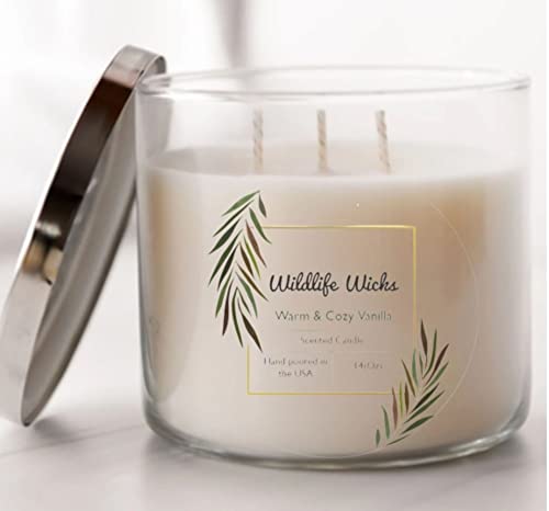 Warm and Cozy Candle | Vanilla, Cinnamon, and Cashmere, Winter Scented Soy Candles for Home | 14oz Clear Jar, 40+ Hour Burn Time, Made in the USA