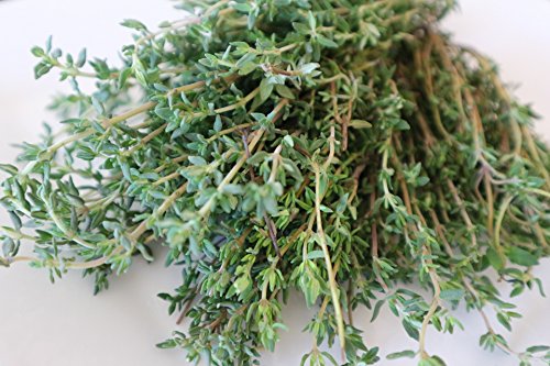 Gaea's Blessing Seeds - Thyme Seeds - Non-GMO - with Easy to Follow Planting Instructions - Herb Thymus Vulgaris 350mg 90% Germination