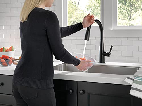 Delta Faucet Essa VoiceIQ Touchless Kitchen Faucets with Pull Down Sprayer, Smart Faucet, Alexa and Google Assistant Voice Activated, Kitchen Sink Faucet, Matte Black 9113TV-BL-DST