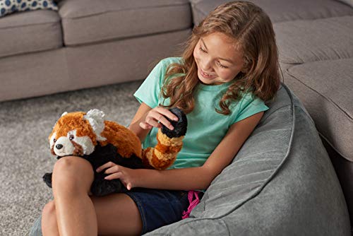Wild Republic Red Panda Plush, Stuffed Animal, Plush Toy, Gifts for Kids, Cuddlekins, 8 Inches, Model:10876