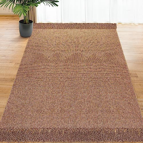 Large Outdoor Patio Rug 4x6 Washable Boho Cotton Area Rug Entryway Rug with Tassels Braided Runner Rug for Living Room Bedroom Dining Room Kitchen Indoor Farmhouse Entryway Carpet Mat