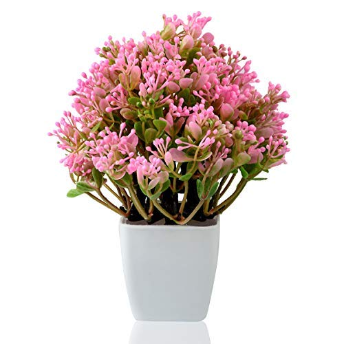 Geode Presents Beautiful Artificial Bonsai Plant with Pot, Bonsai Tree & Plant | Bonsai Tree for Indoor Office Home Decor Showpiece Pack 0F 1 Pc #Aport-681