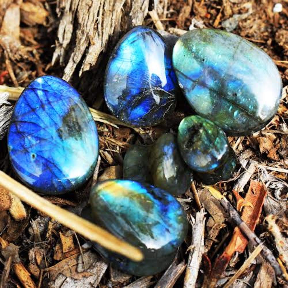 Covet Jewelry AAA Grade Natural Labradorite Double Flare Teardrop Plug (1/2")