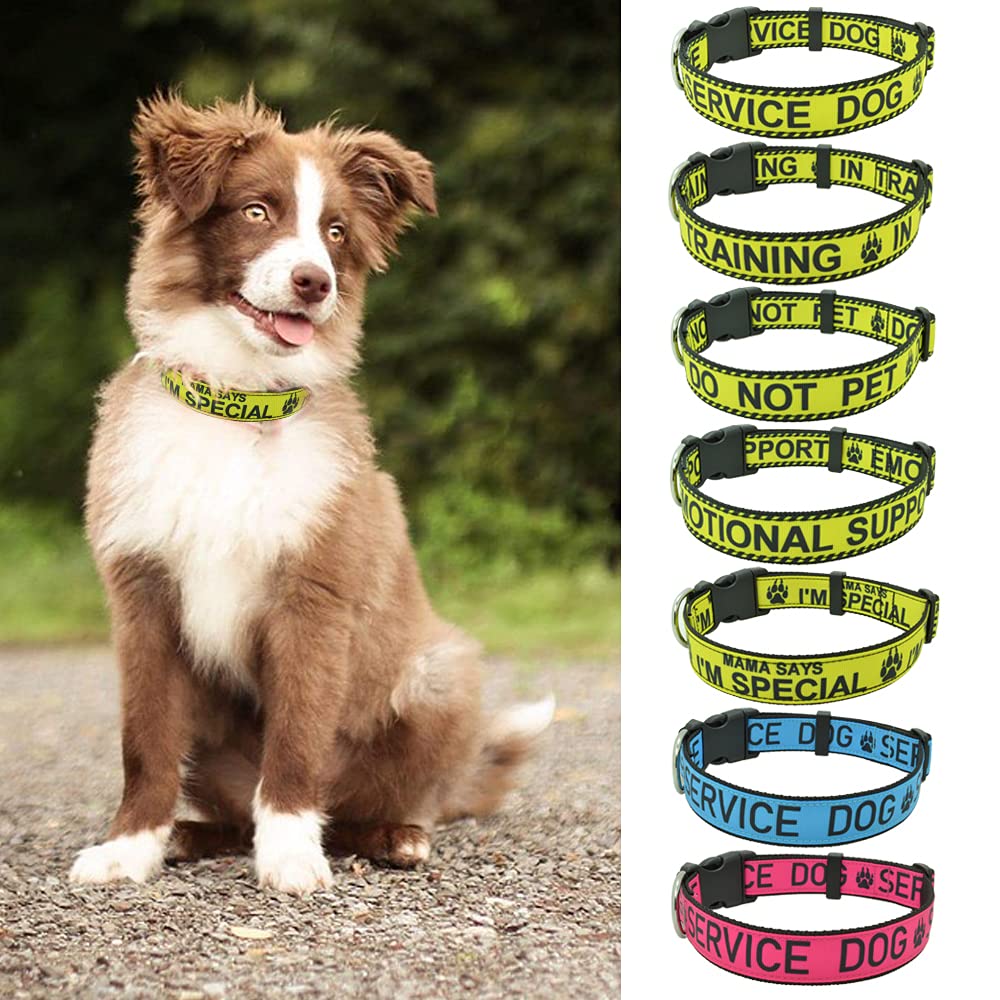 DWOOFG Dog Collar for Mama SAYS I'm Special, Sturdy Durable with Buckle, Yellow Dog Collars for Small Medium Large Dogs, Premium Adjustable Polyester Pet Collar