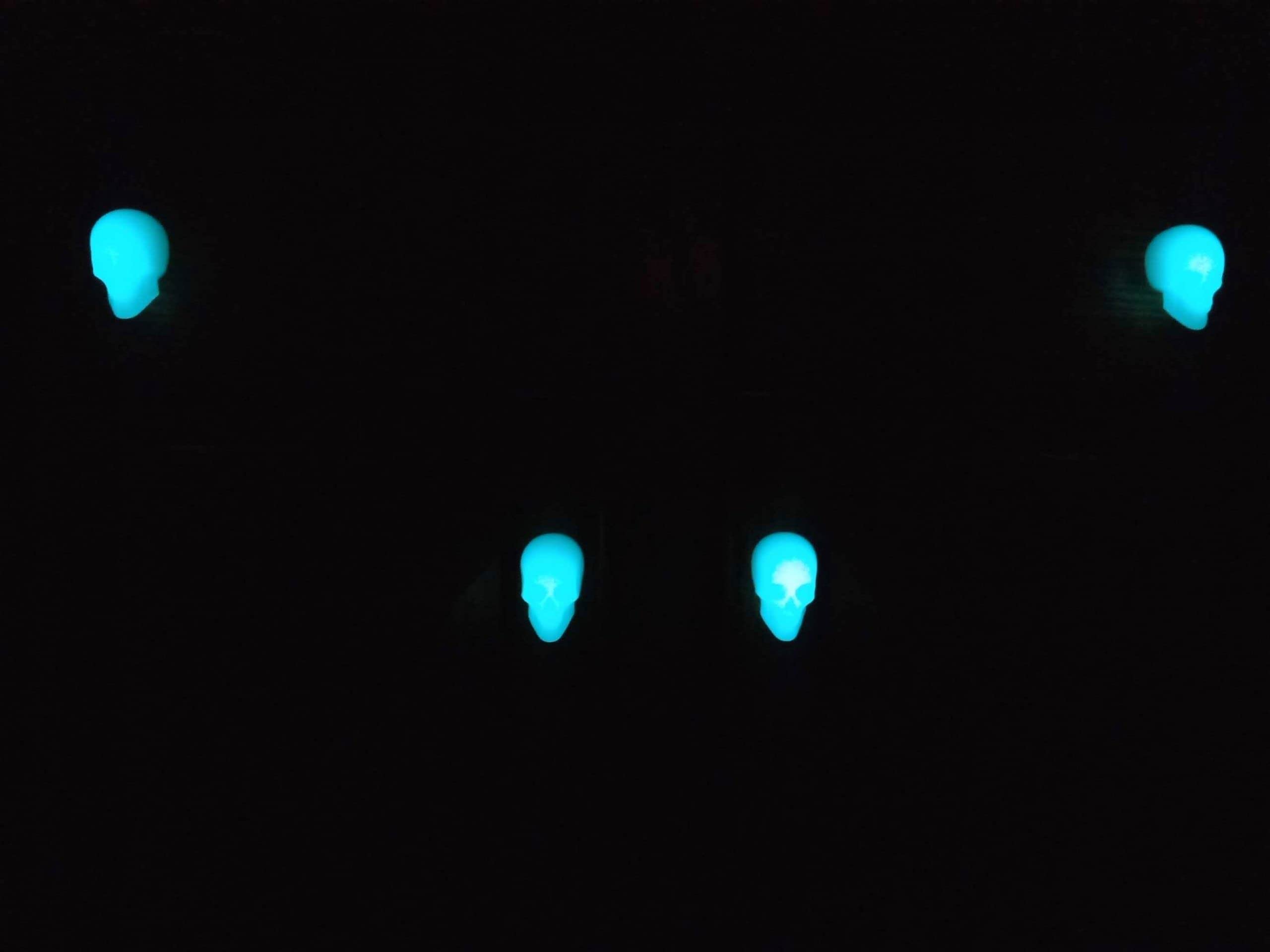 Glow in the Dark Skull Door Knobs Drawer Knobs (Set of 2)