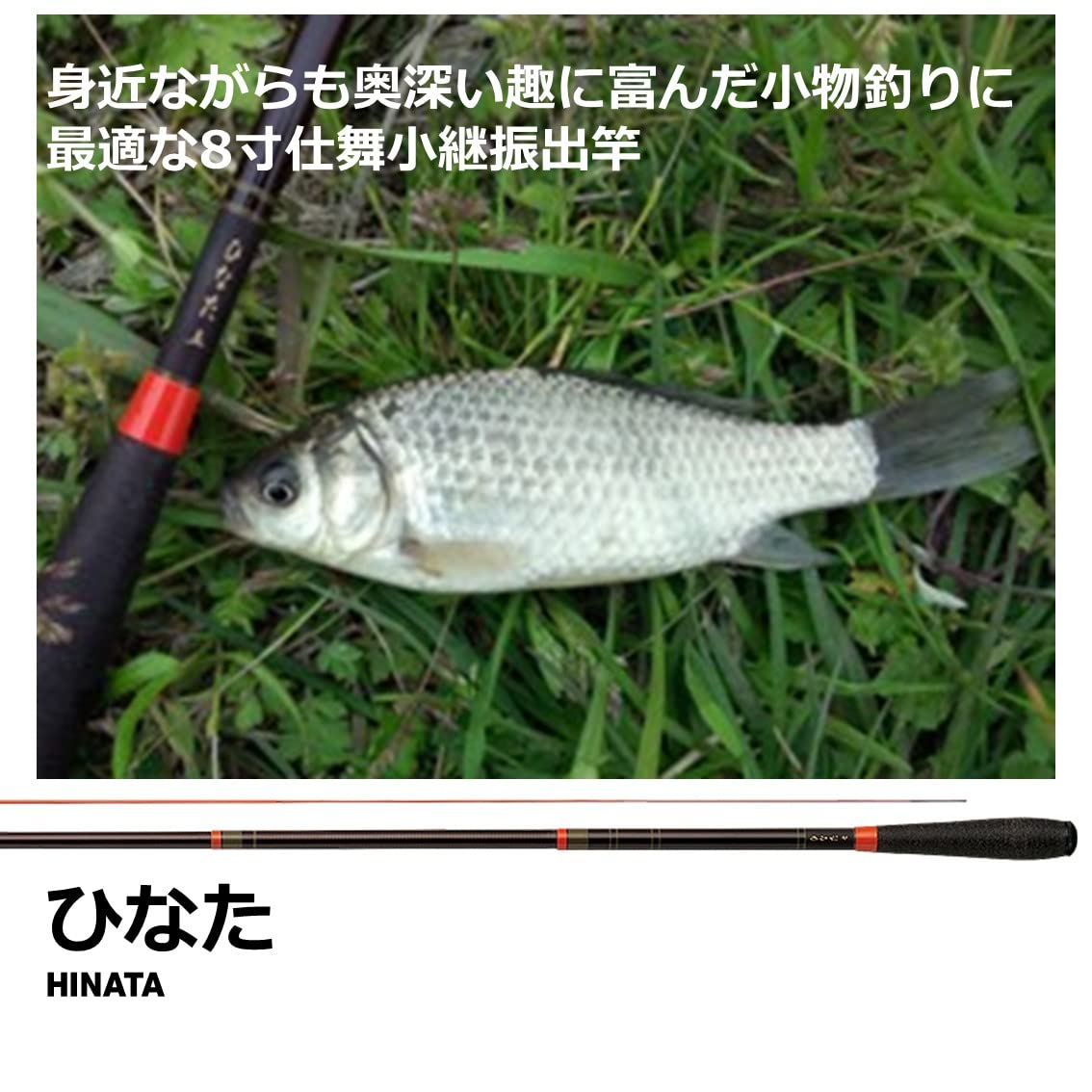Daiwa Mountain Stream Rod, Hinata 3 Shaku Fishing Rod