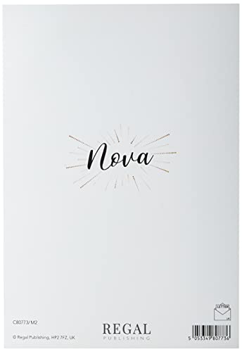 Regal Publishing Modern Milestone Age Birthday Card 21st Grandson - 9 x 6 inches -