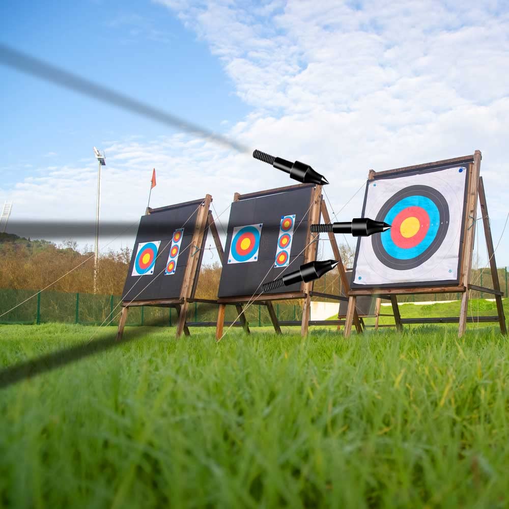 Field Points Screw in Archery Arrow Field Points Bullet Points Tips, Practice Target & Hunting Arrows Heads for Recurve, Compound Bow, 100 Grain Each