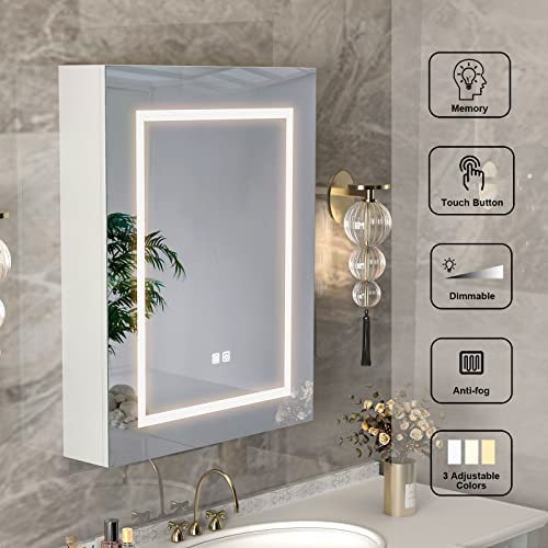 Mepplzian LED Bathroom Mirrored Medicine Cabinet Lighted Medicine Cabinet Wall Mounted Mirror Cabinet with 3 Storage Shelf Medicine Cabinet with Led Lights and Defogger,US Plug Adapter,23.6x29.9Inch