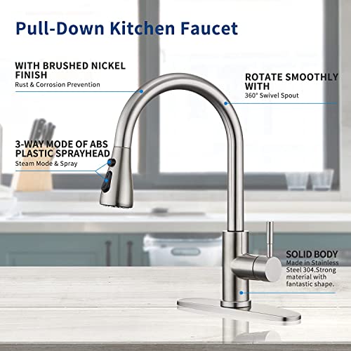 GASIA Kitchen Faucet,Faucet for Kitchen Sink,Kitchen Faucet with Sprayer,Brushed Stainless Steel Sink Faucet
