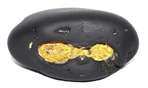 Rudrakshguru Laxmi Narasimha Shaligram - Gandaki River Nepal
