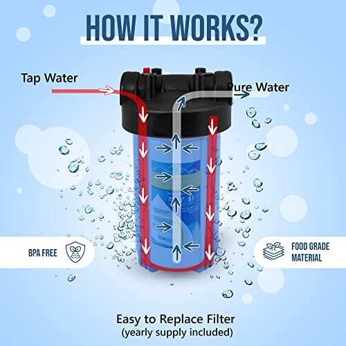 High Capacity 10 x 4.5-Inches Blue Whole House Water Filter Purifier System with Presser Relief Button, 1β Inlet/Outlet Brass Port & Yearly Supply (4) Polypropylene Sediment Cartridges 5 Micron