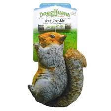 Doggijuana Get Outside Squirrel / Refillable Catnip Dog Toy / Juananip⢠Refill Bottle / Promotes Play and Helps Your Dog Chill