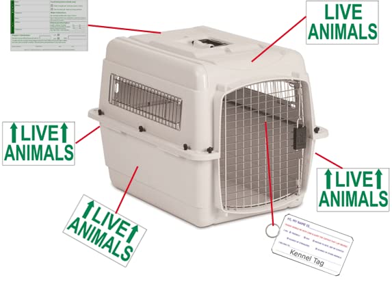 Live Animal Label Set of 5 Stickers w/ Pet Passport Pouch Clear