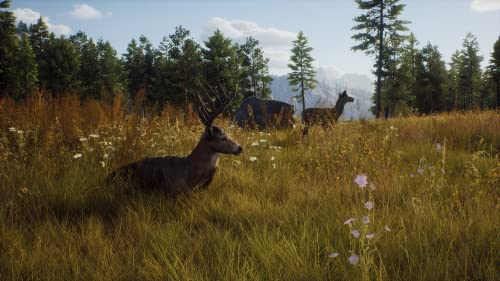 Way of The Hunter for PlayStation 5