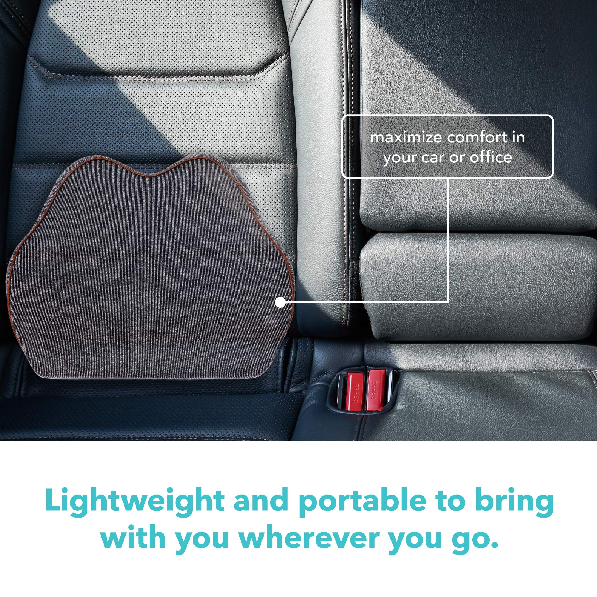 Cubii Cushii Back Support Cushion for Back and Lower Back Pain Relief - Universal Fit for Desk, Office, Kitchen Chairs, Couch Cushions with Advanced Back Lumbar Support