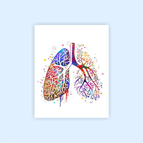 Dignovel Studios Unframed (Set of 3) 8X10 Human Anatomy Watercolor art print set Heart Lung Brain wall prints dnc23