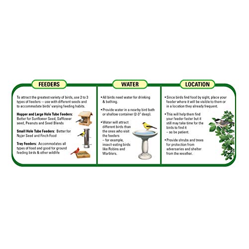 Wagner's 18542 Cracked Corn Wild Bird Food, 10-Pound Bag